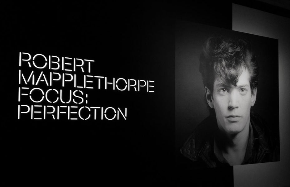 Robert Mapplethorpe: an Evening at the Montreal Museum of Fine Arts ...